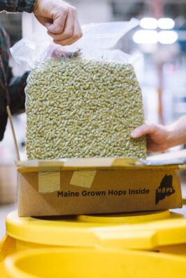 What is Dry Hopping vs. Wet Hopping? - Allagash Brewing Company