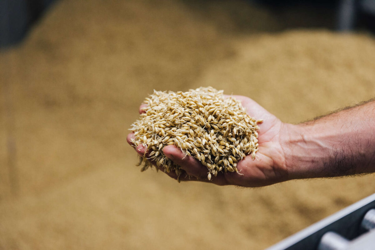 What is Wort? - Allagash Brewing Company